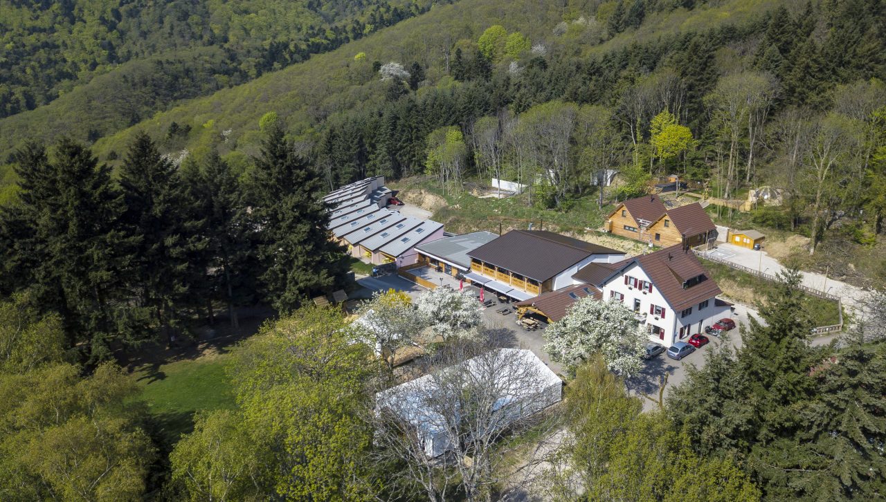 Vos vacances loisirs en Alsace ! Découvrez le Domaine du HIRTZ ...