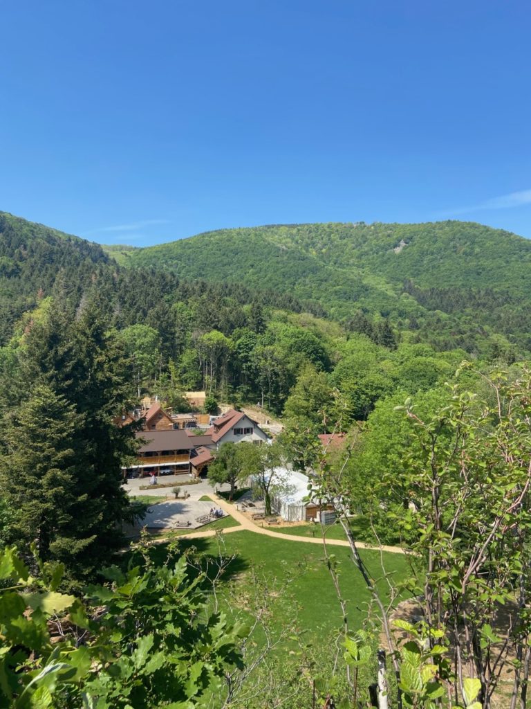 Le Domaine du HIRTZ, une véritable résidence d’éco-tourisme pour un ...